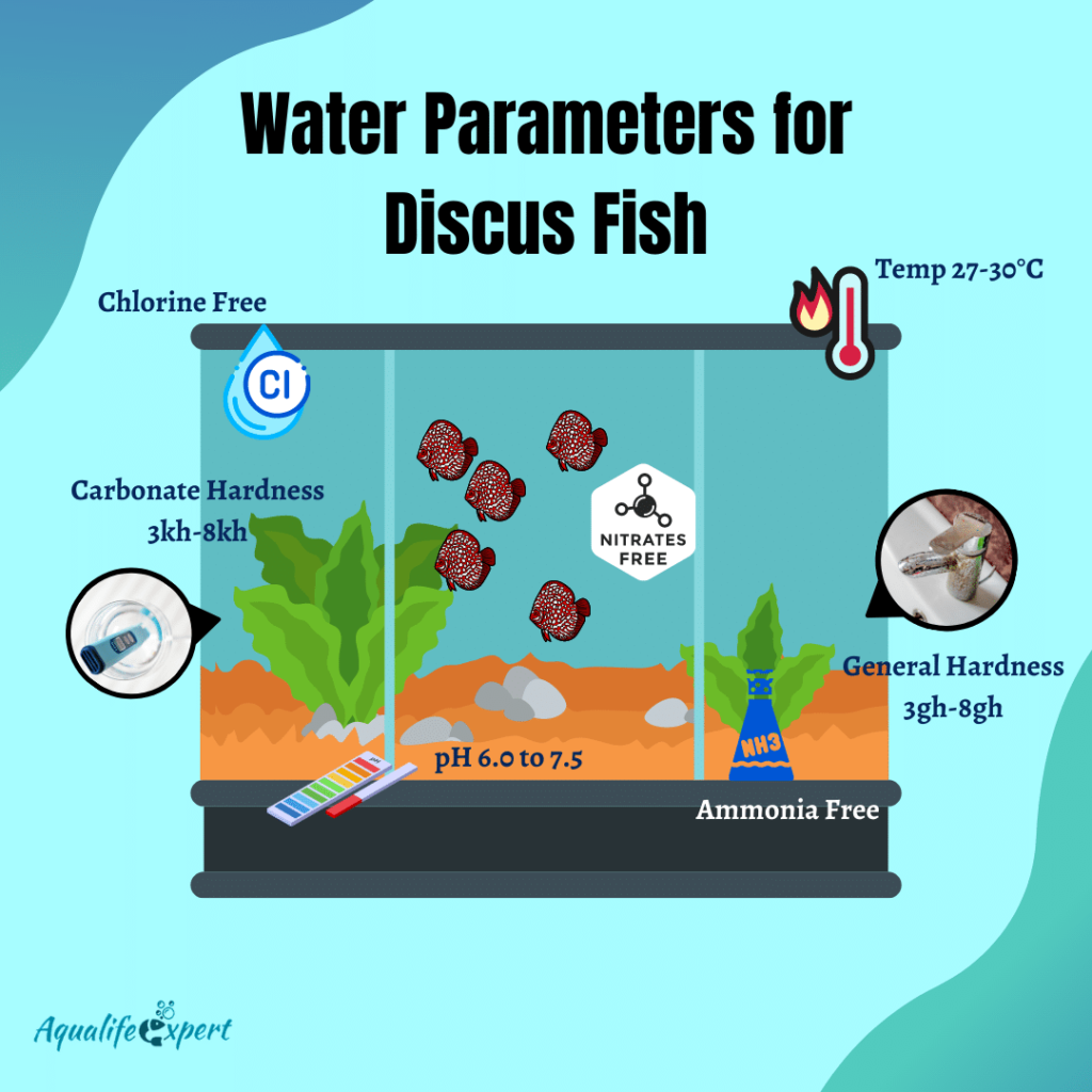 Everything about Water Parameters of Freshwater Aquariums - Aqua Life ...